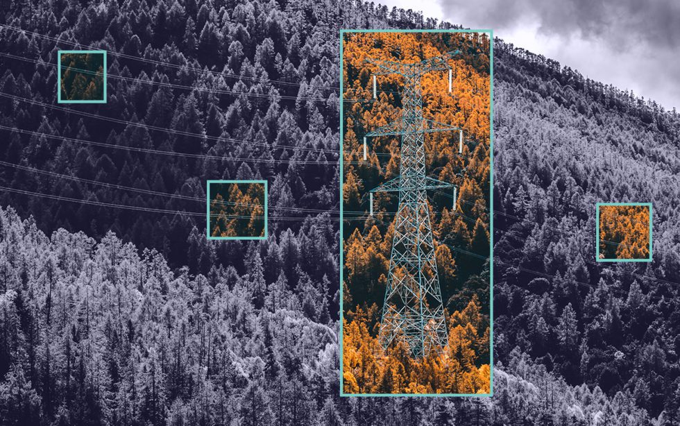 Effective Vegetation Management for Utility Companies